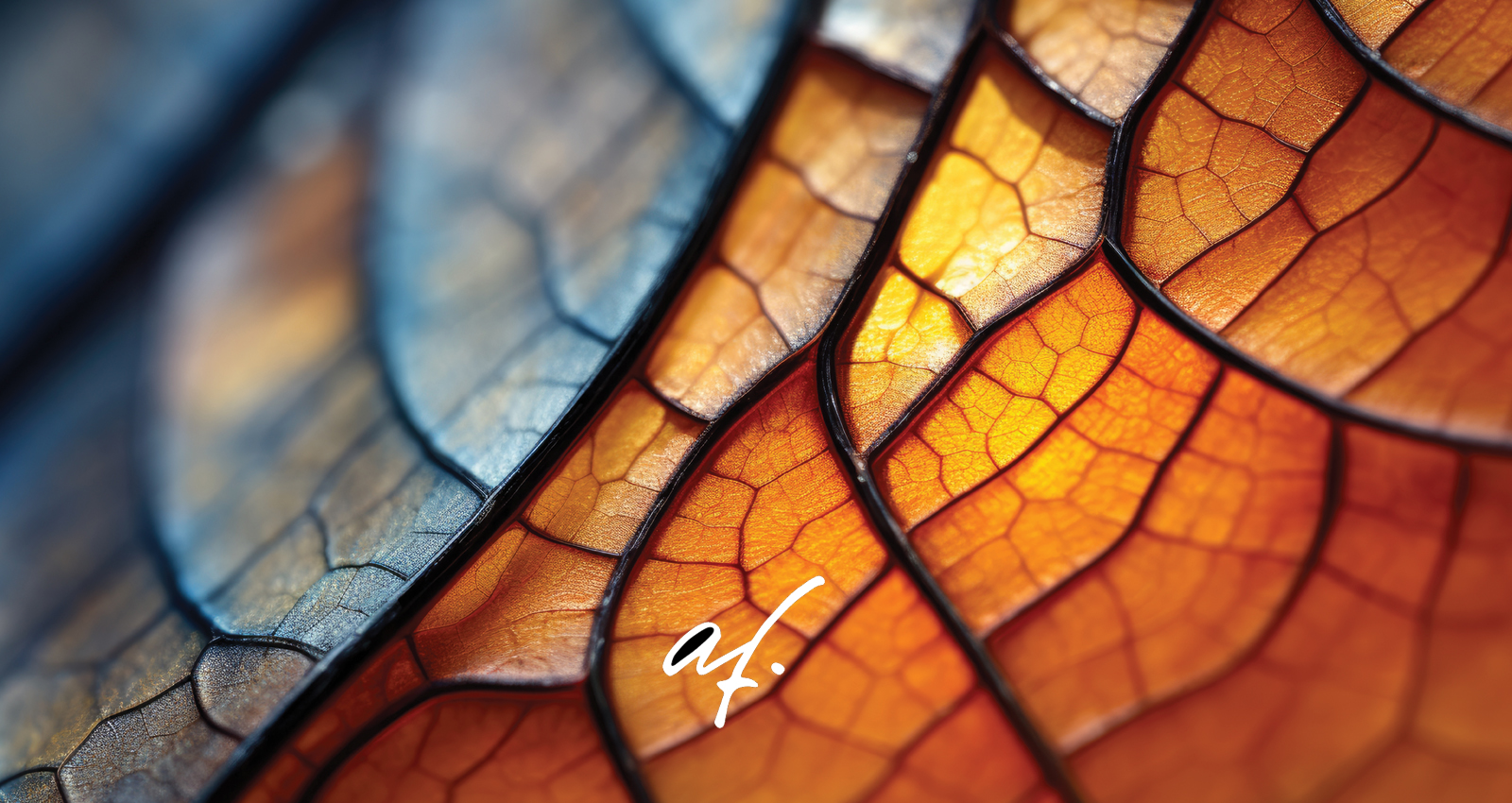 The Essential Alignment Package